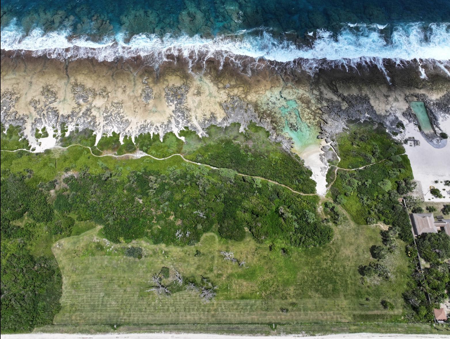 ~Pandan Cove Project~ Vanuatu - Pandan Beach